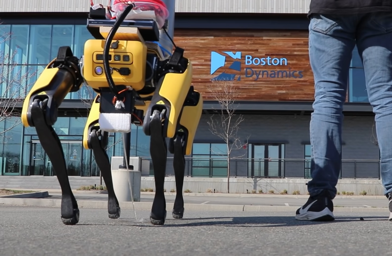 Boston Dynamics Robot Dog Peeing Beer